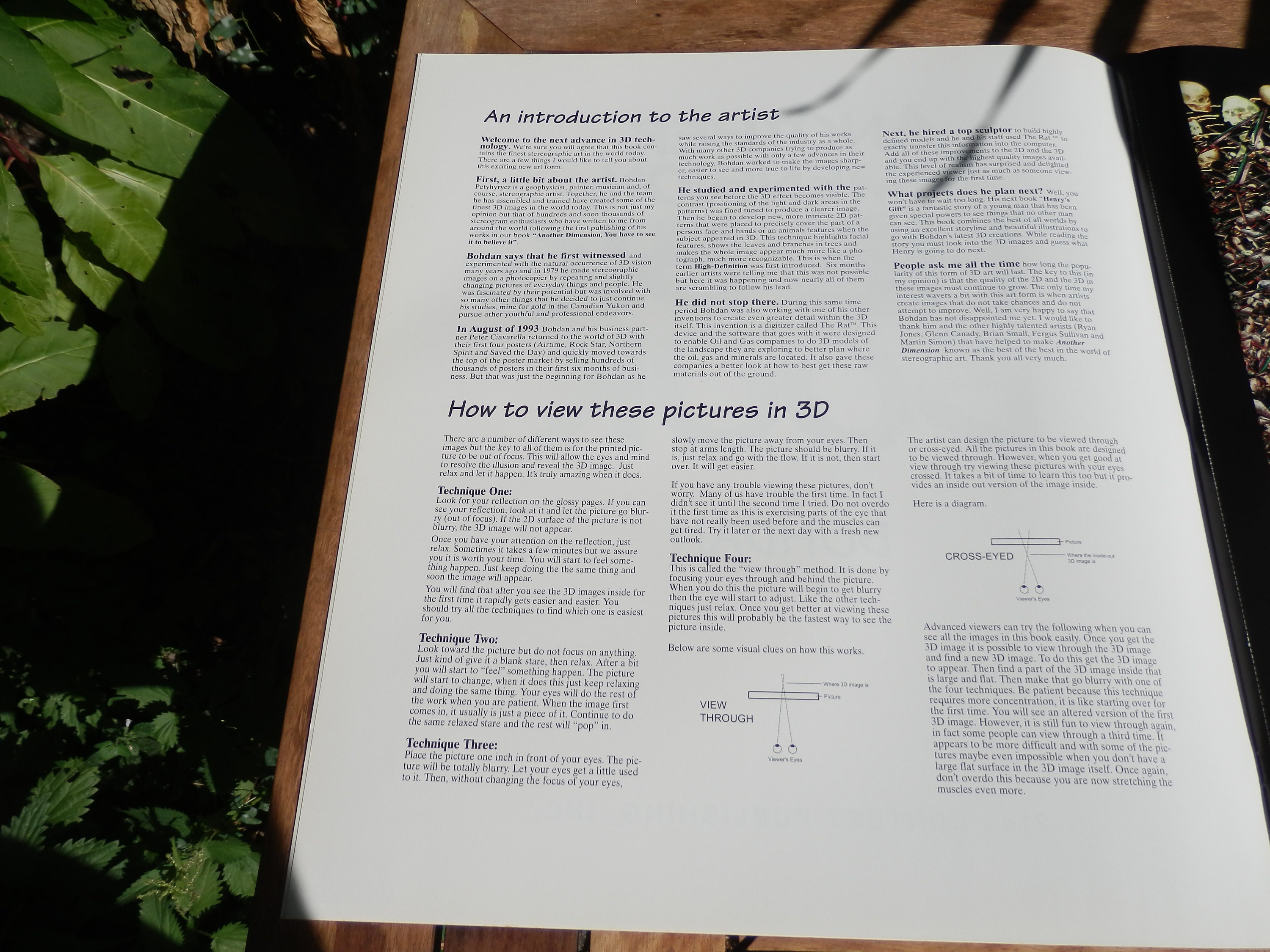 Another Dimension, the Big Book, Stereogram Book, 3D Vision, Optical ...