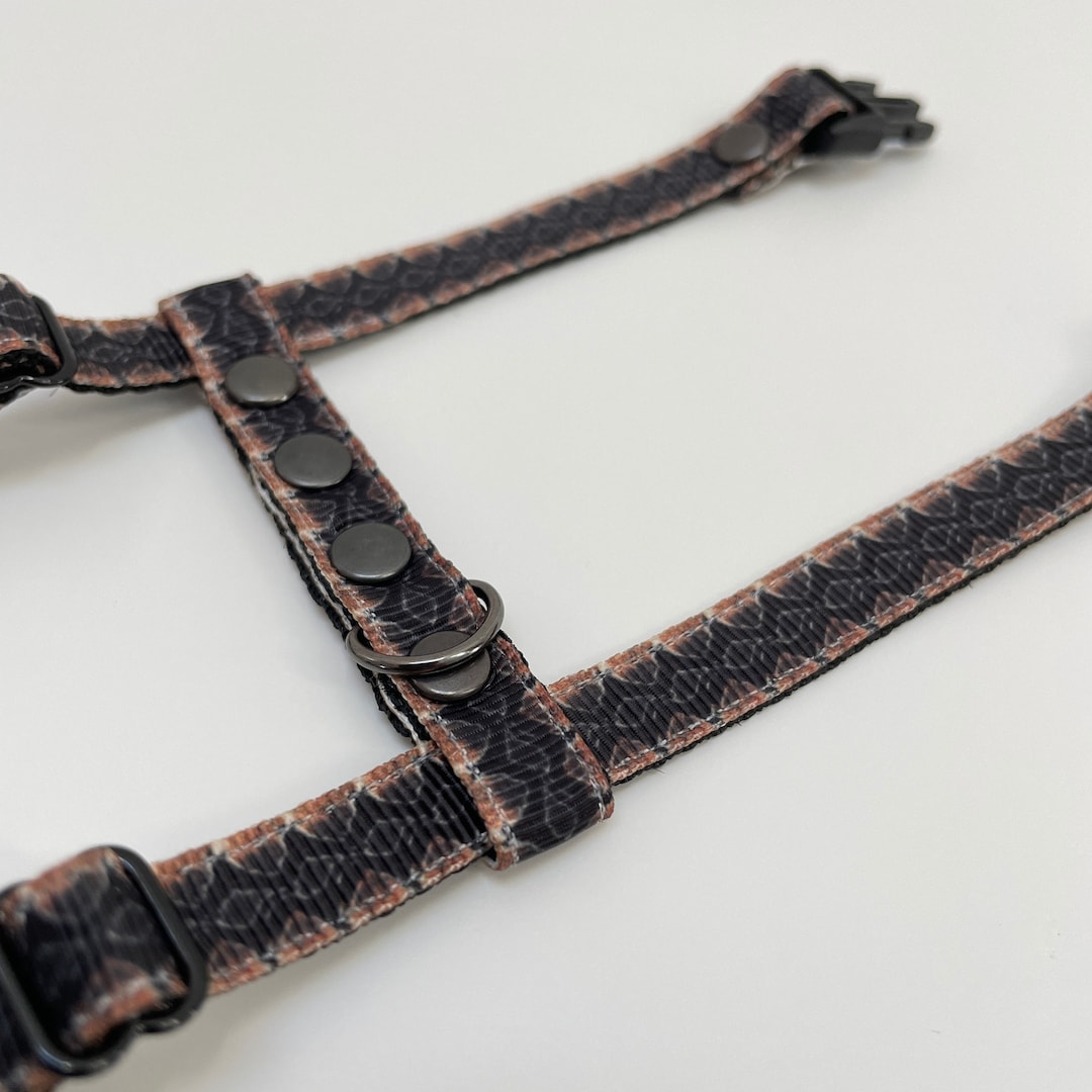 Ferret Snake Harness and Leash Set. Ferret Harness With Serpentine ...