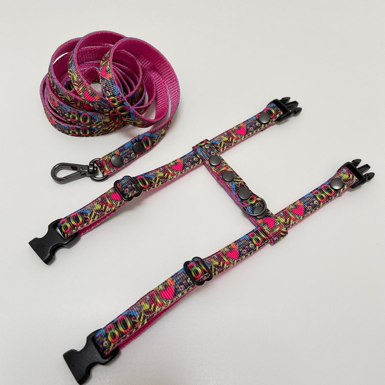 Ferret Harness and Leash Set. Disco Ferret Leash. Comfortable Harness ...