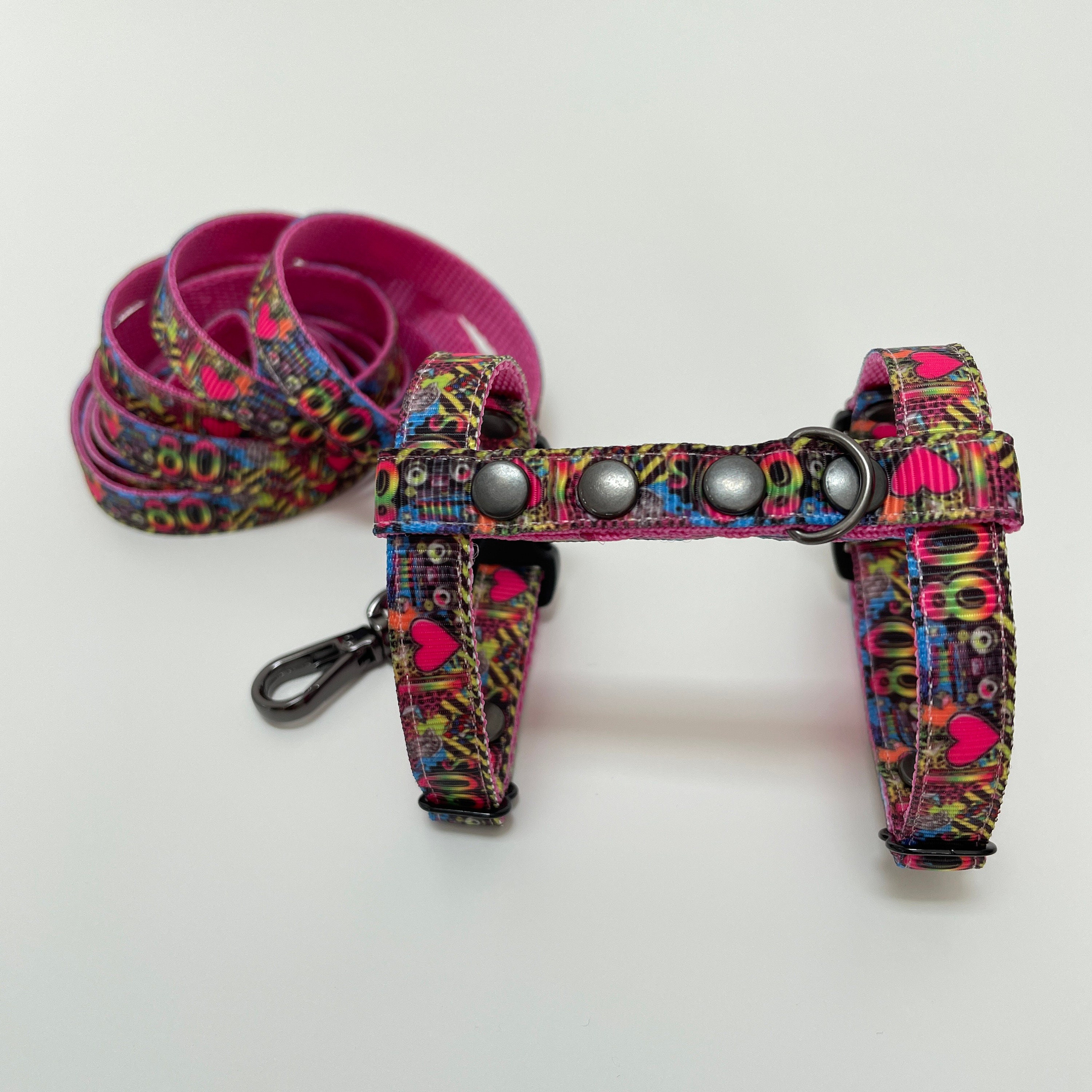Ferret Harness and Leash Set. Disco Ferret Leash. Comfortable Harness ...