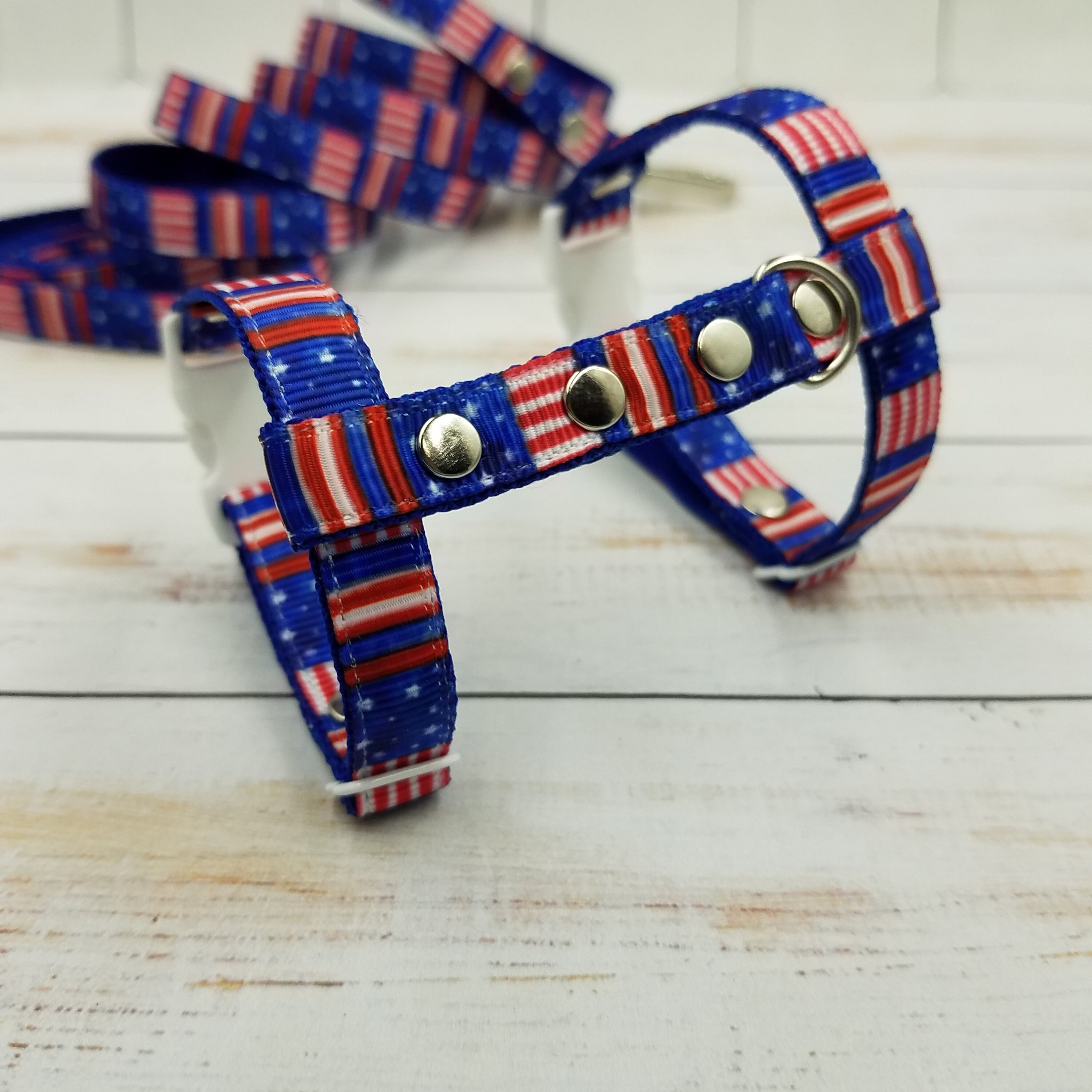 Ferret Harness and Leash. Adjustable Ferret Harness. Harness for Kitten ...