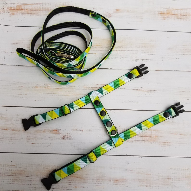 Ferret Harness and Leash Set. Green Harness.triangular Series. - Etsy