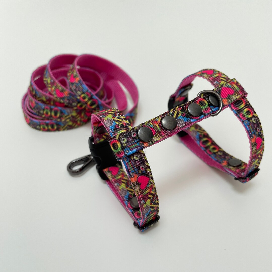 Ferret Harness and Leash Set. Disco Ferret Leash. Comfortable Harness ...