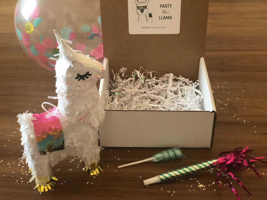 Llama Mini Pinata Birthday Party in a Box- Best Friend Birthday Gift ...
