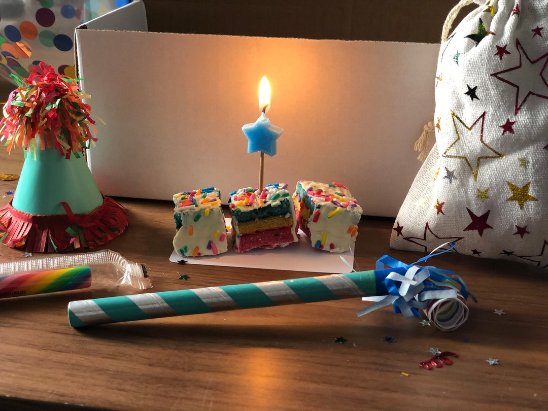 Deluxe Birthday in a Bag Party in a Box Friend Gift Box Birthday Gift ...