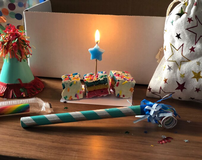 Deluxe Birthday in a Bag Party in a Box Friend Gift Box Birthday Gift ...