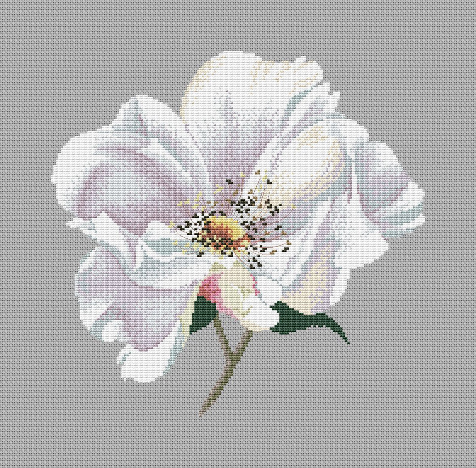 Magnolia Cross Stitch Pattern, Modern Flower, Floral Chart, Instant ...