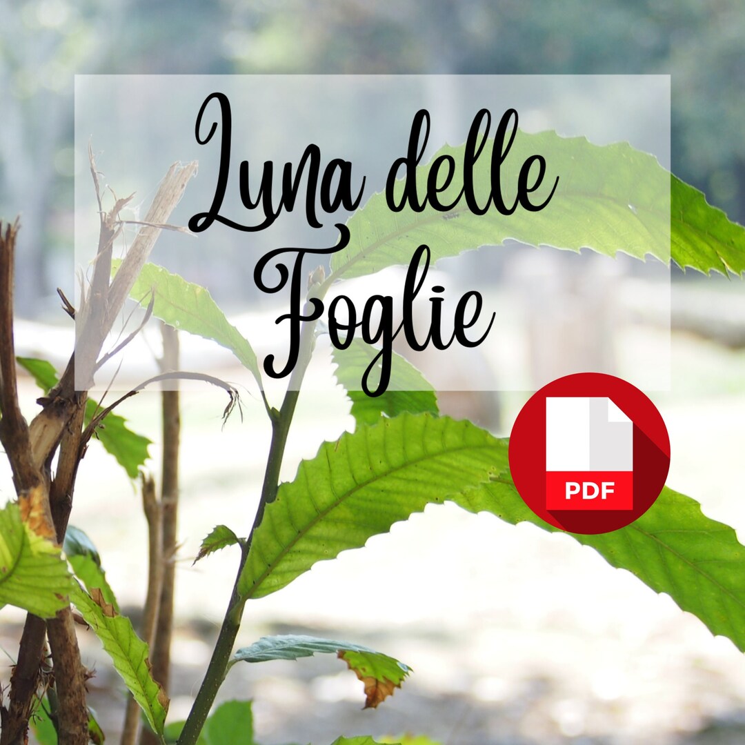 Lunation of the Leaves April 8 new Moon April 24 full Moon Magic ...