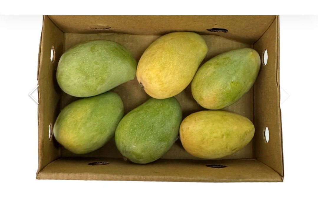 Fresh Mango Box: Alphonso, Kesar, Pakistani Mangoes - Etsy UK