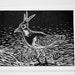 Lapwing Print// Lino Cut//black and White// Original// Birthday Gift ...