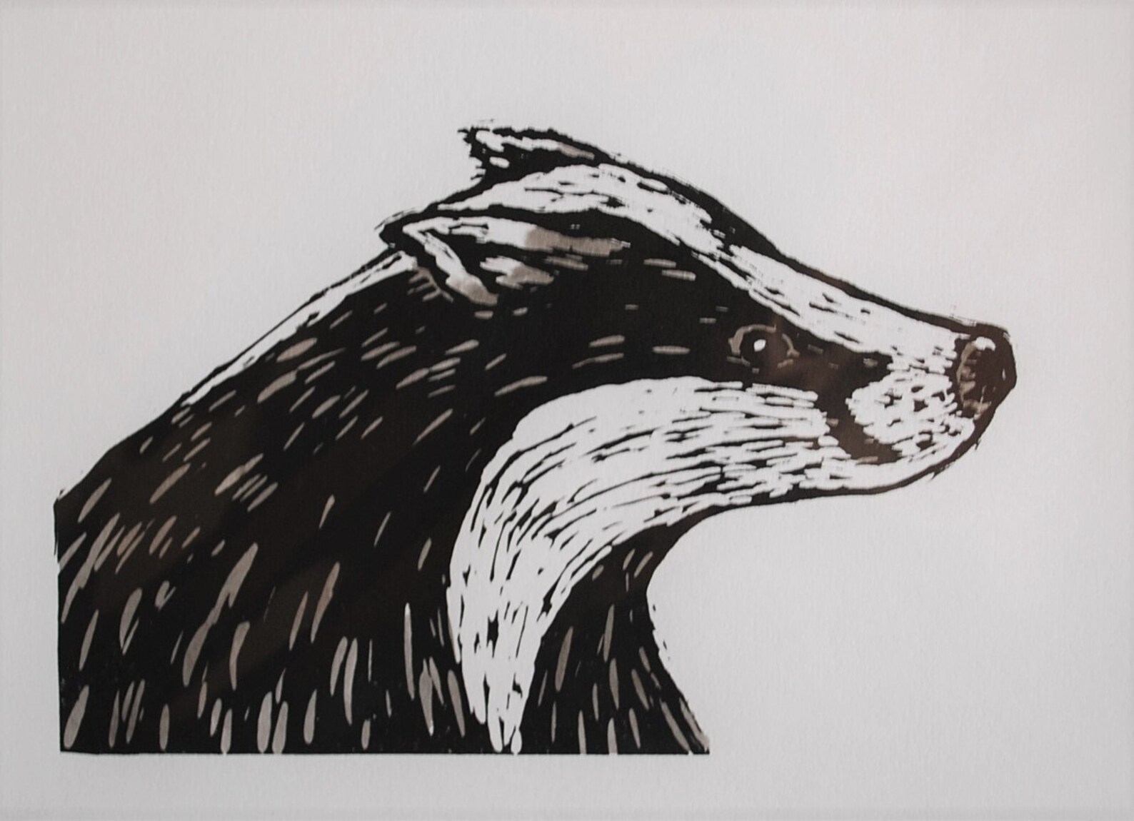 Badger Print// Lino Cut//black Ink//watercolour Tinted// - Etsy