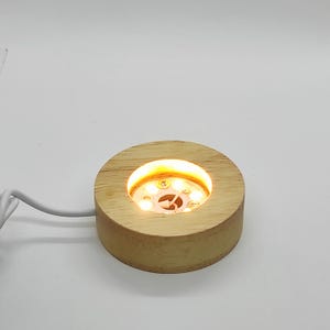 Resin Flower Lamp: Unique Dried Flower Sphere Night Light - Etsy