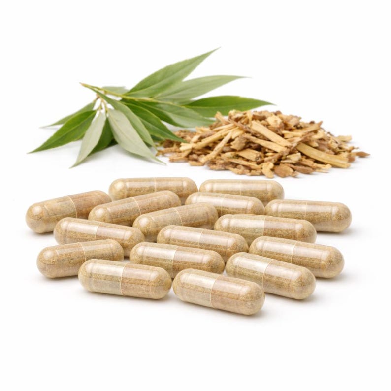 White Willow Bark Capsules 500mg | Vegan Herbal Capsule (salix Alba) - Etsy