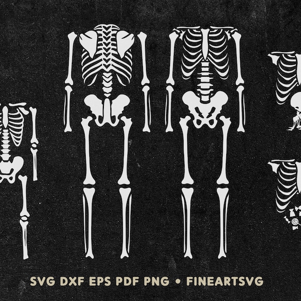 Skeleton Svg - Etsy