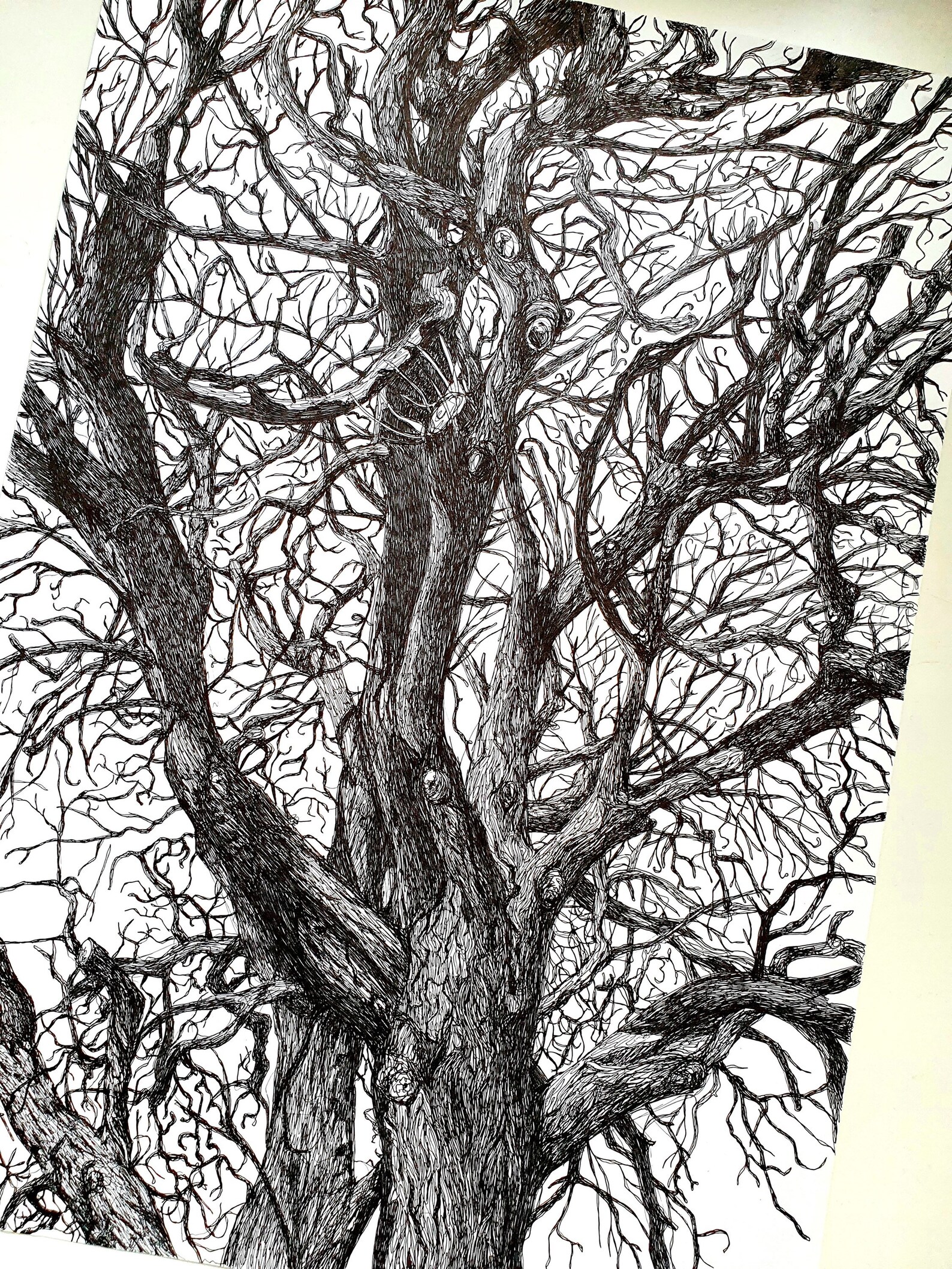 A3 Original Drawing Tree No.2 Nature Illustration | Etsy