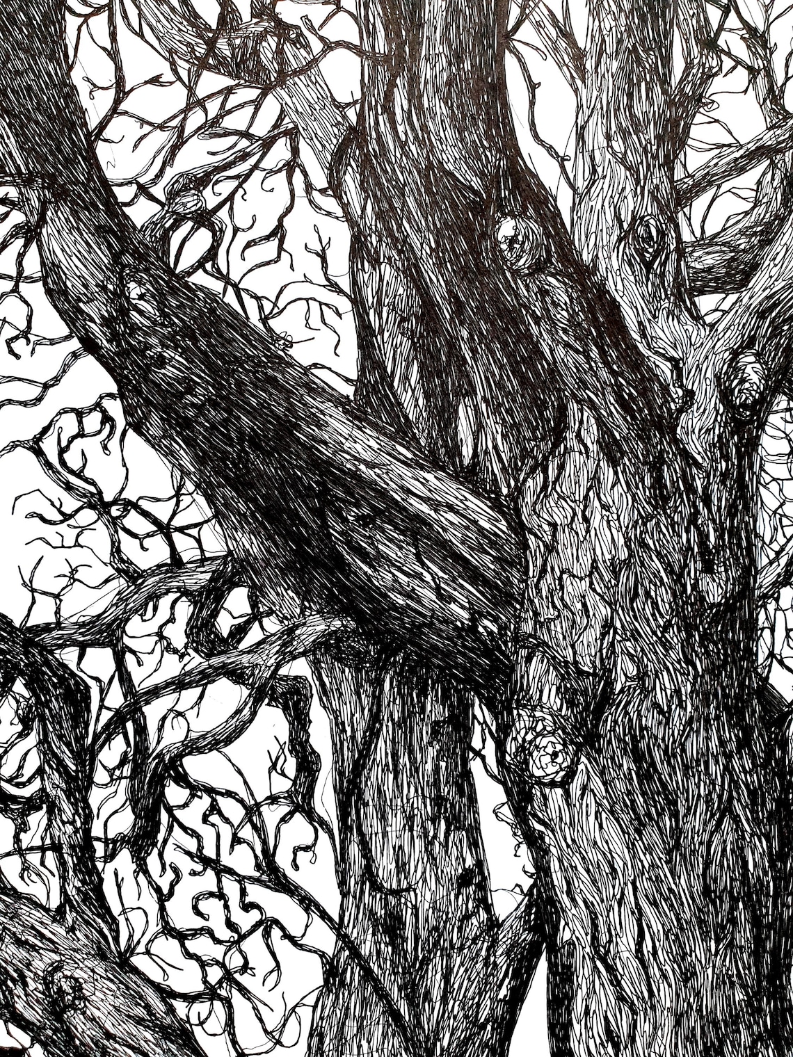 A3 Original Drawing Tree No.2 Nature Illustration - Etsy