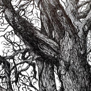 A3 Original Drawing - Tree No.2 - Nature Illustration - Etsy
