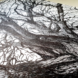 A3 Original Drawing - Tree No.2 - Nature Illustration - Etsy