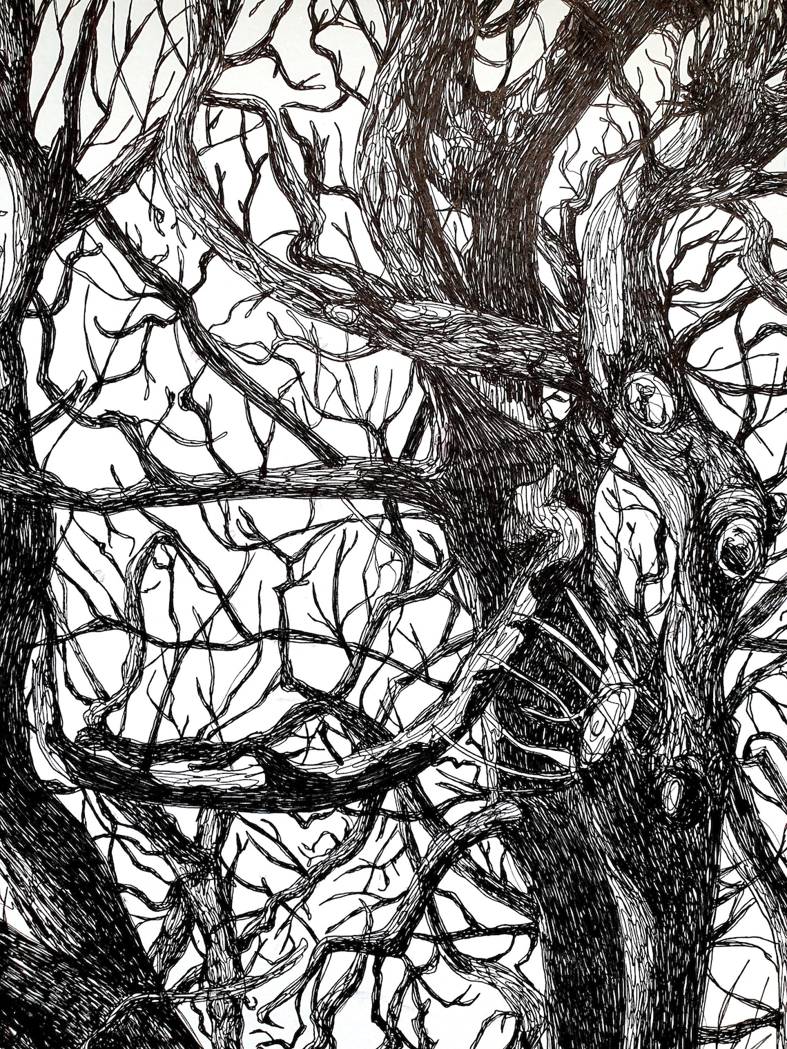 A3 Original Drawing Tree No.2 Nature Illustration - Etsy