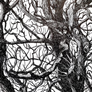 A3 Original Drawing - Tree No.2 - Nature Illustration - Etsy