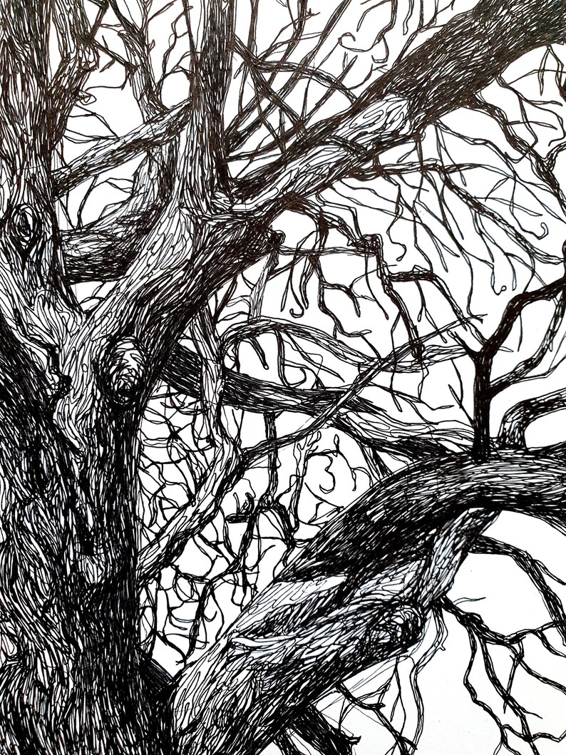 A3 Original Drawing Tree No.2 Nature Illustration - Etsy