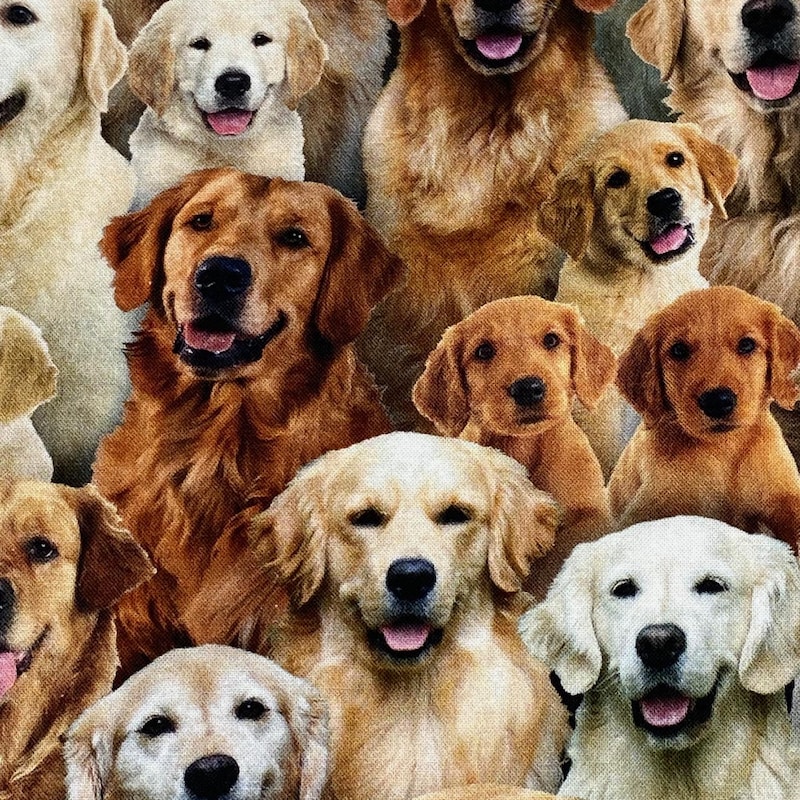 Retriever Quilt Fabric - Etsy