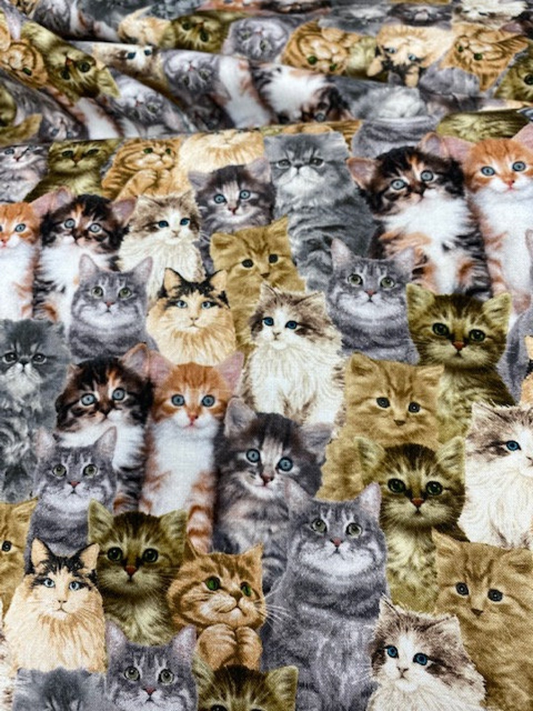 Packed Realistic Cats, Just Released, From Timeless Treasure, This is ...