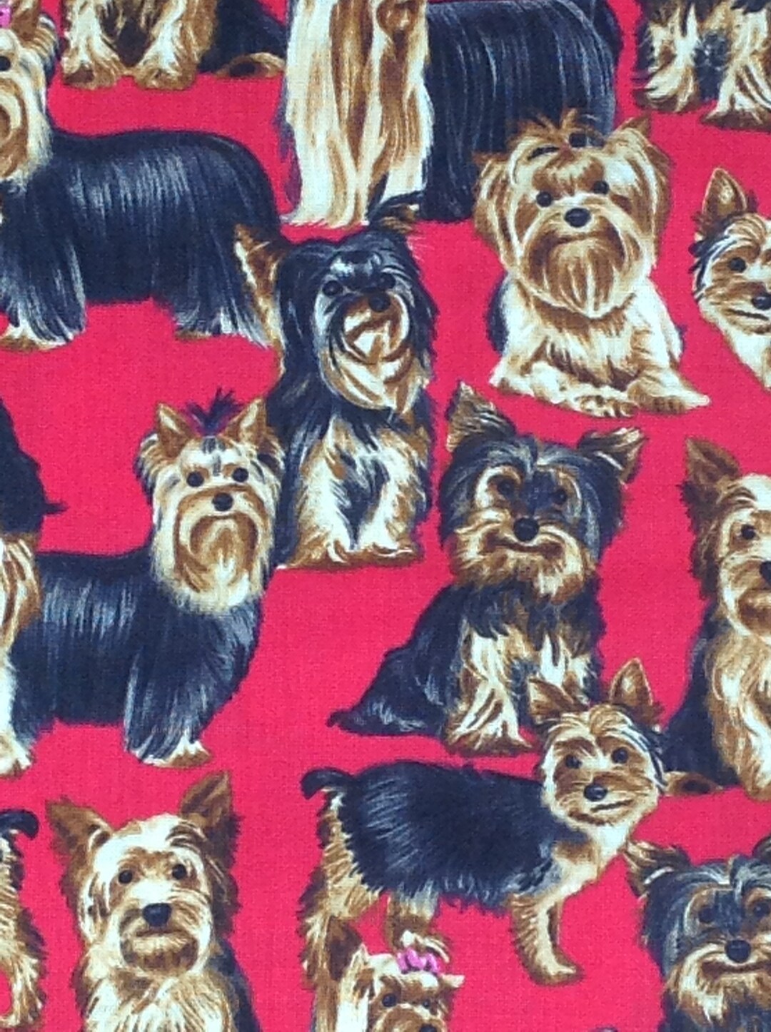 27" EOB Piece, Yorkie Fabric by Timeless Treasure, Back in Stock ...