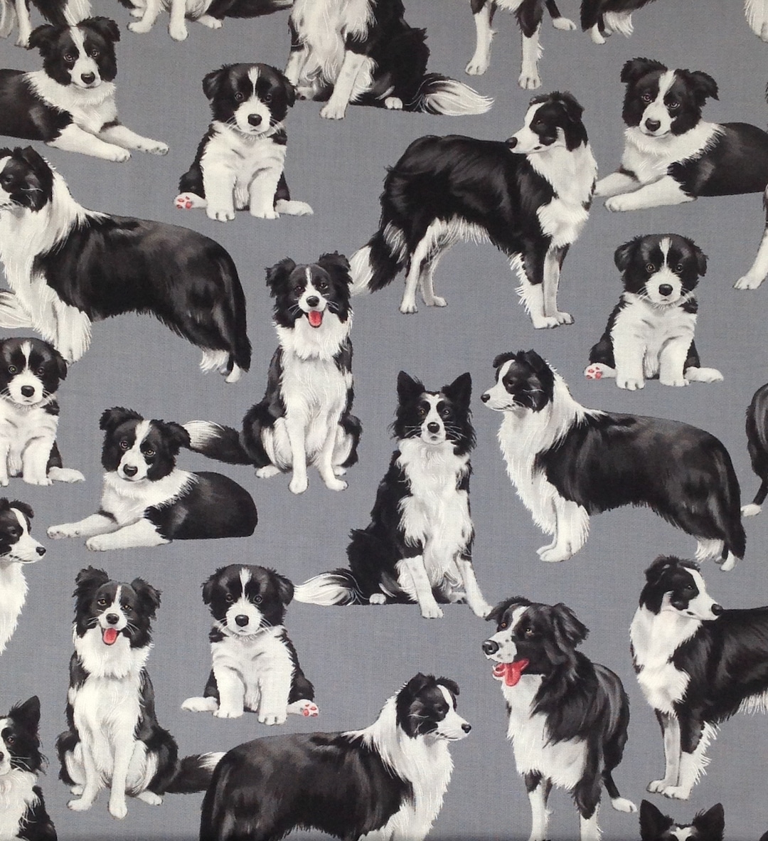 Border Collie Dogs Cotton Fabric by Timeless Treasure, Pure Bred ...