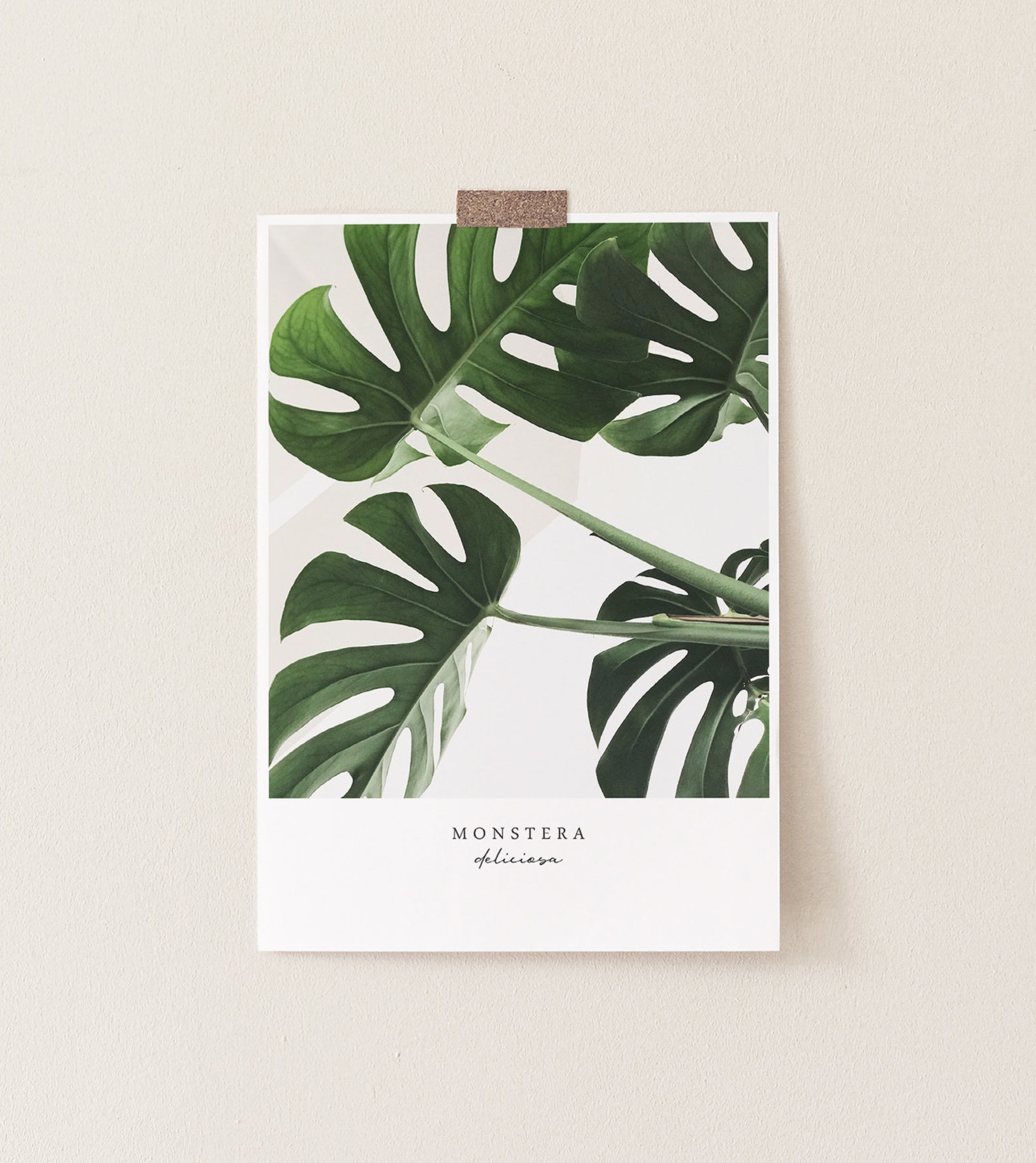 Monstera Print Tropical Leaf Art Monstera Wall Art Monstera - Etsy