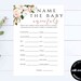 Floral Baby Shower Name the Baby Animal Game Baby Shower Name the ...