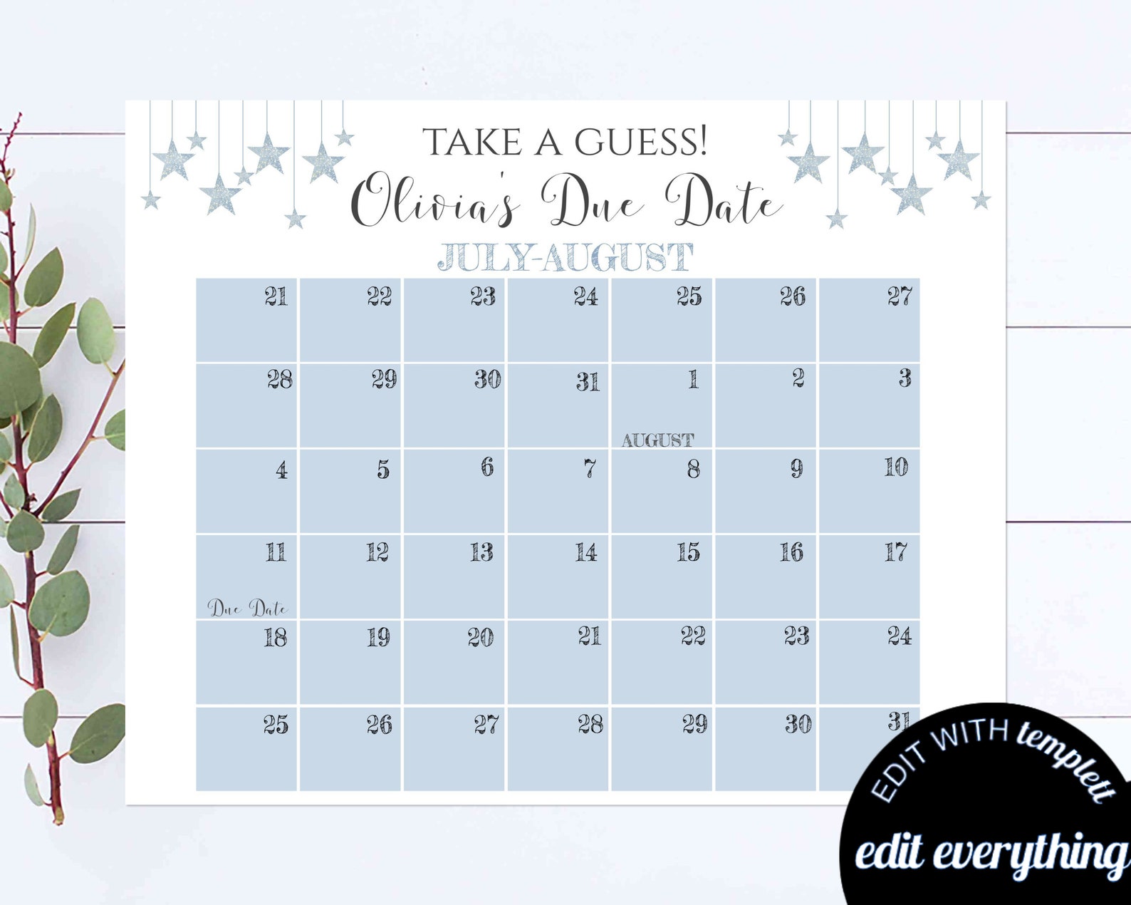 Twinkle Twinkle Due Date Baby Shower Game Guess the Due Date - Etsy