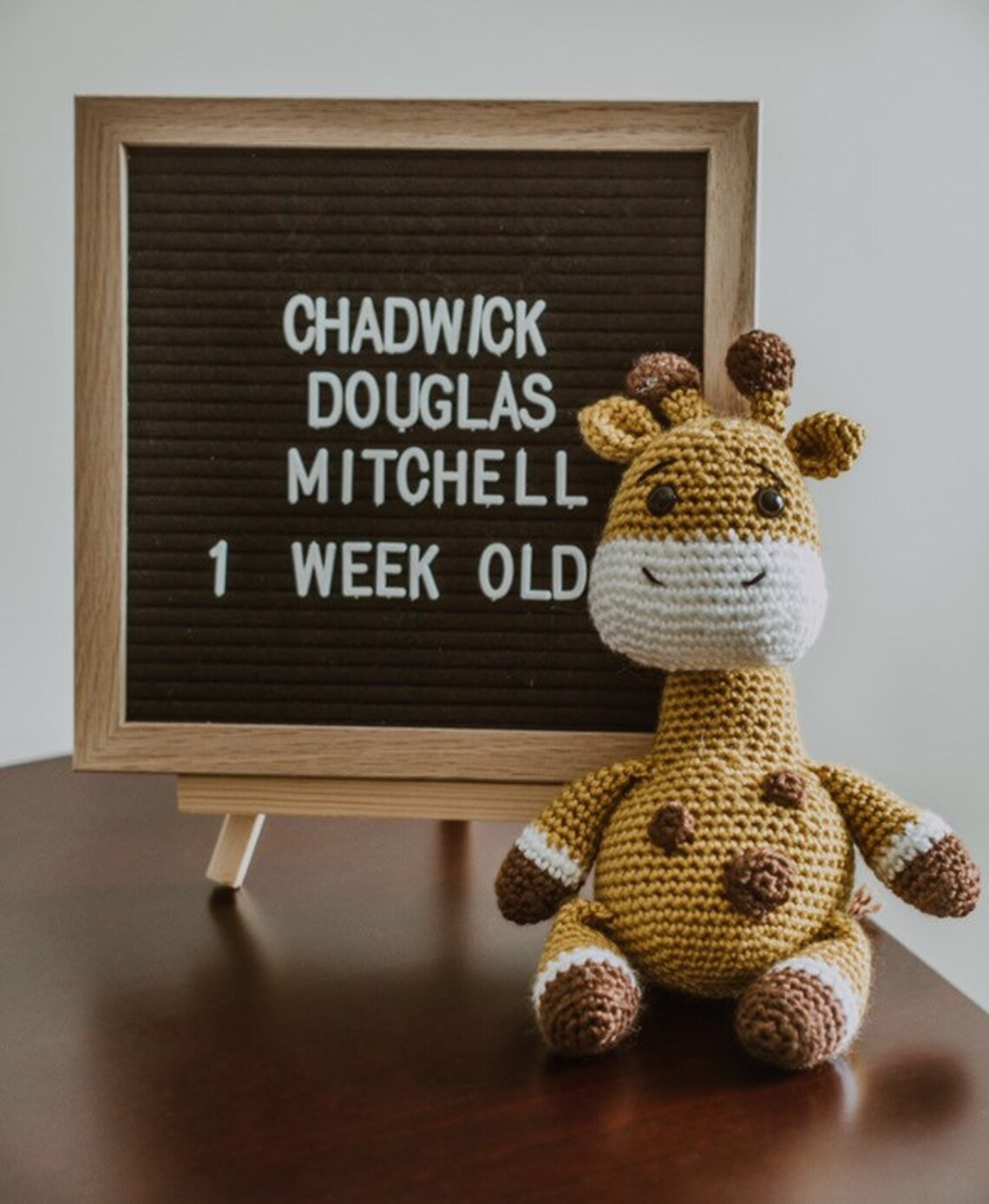 Stuffed Giraffe Handmade Stuffy Giraffe Plushie Safari | Etsy