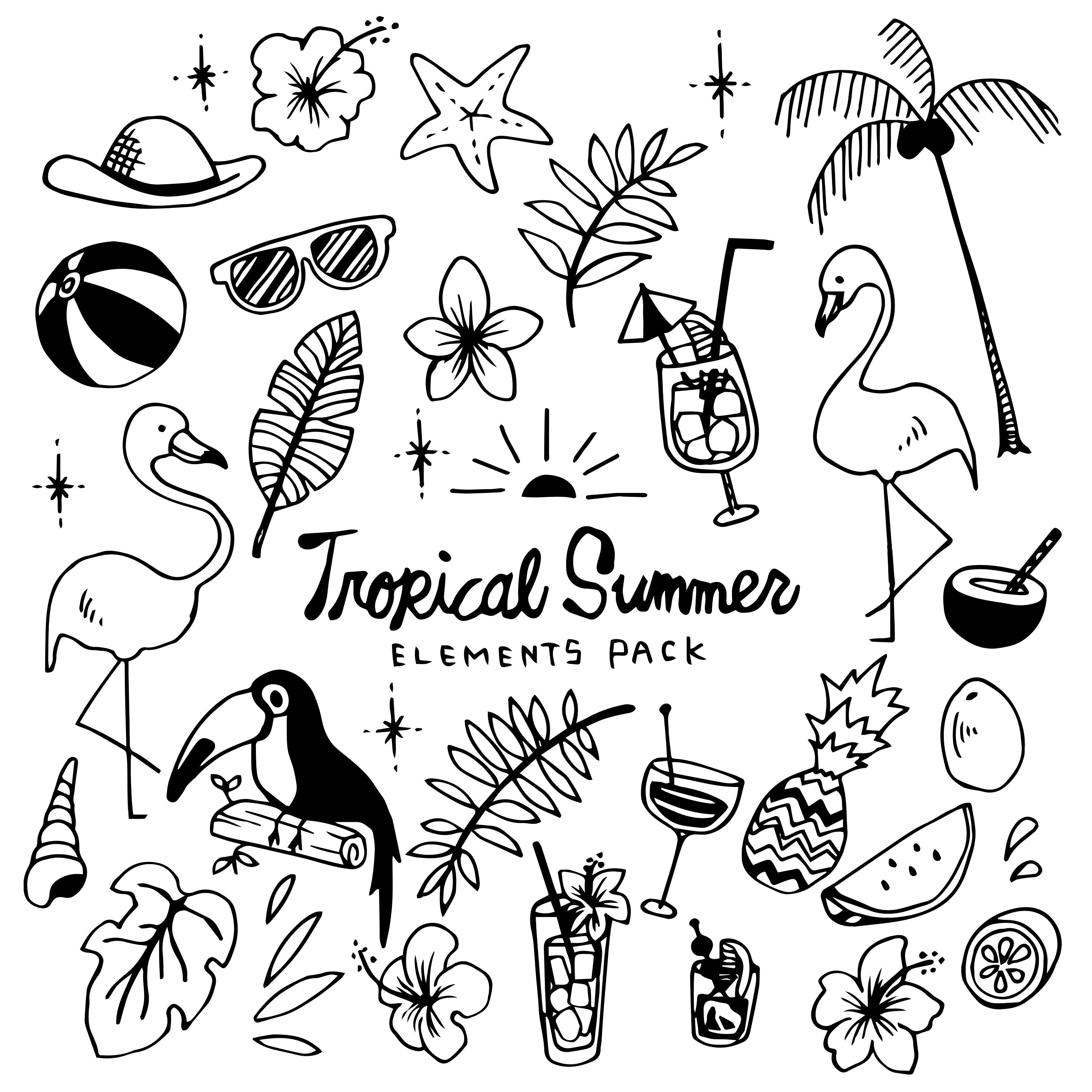 Tropical Summer Illustration Pack (elements)/doodle Clip Art/hand Drawn ...