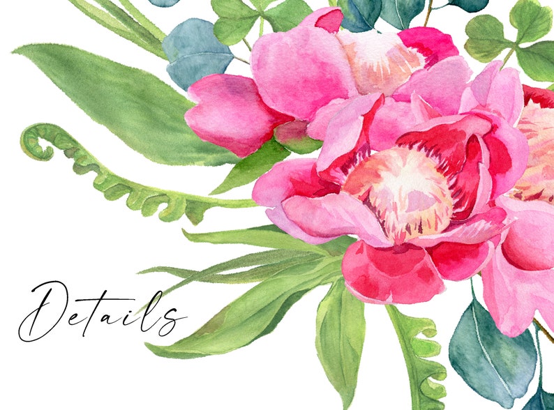 Watercolor Spring Flowers Clipart Pink Peonies Greenery Branches ...