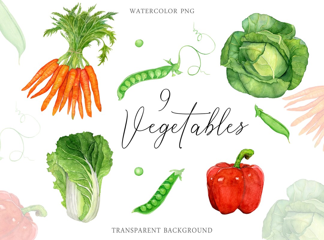 Watercolor Vegetable Clipart PNG Green Cabbage Napa Orange Carrot Red ...