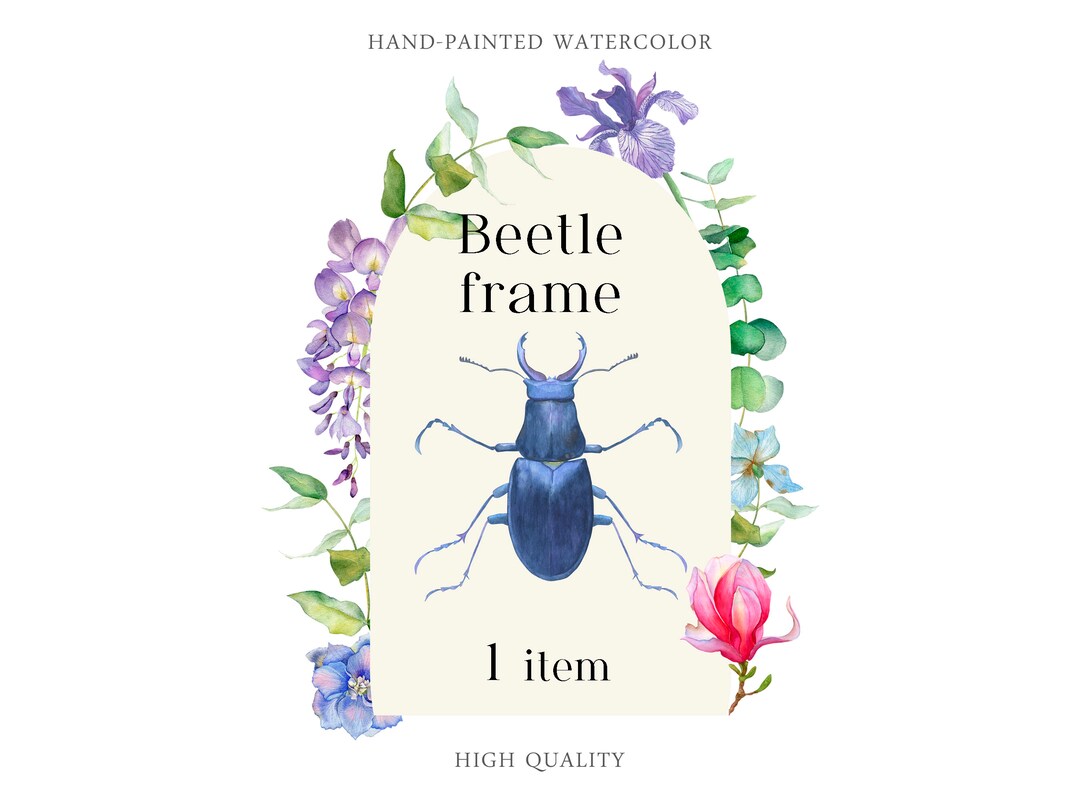 Watercolor Beetle Frame Insects Clipart Bugs Digital PNG Nature Study ...