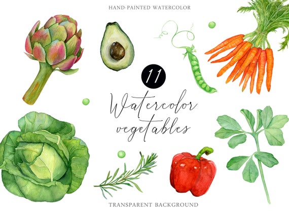 Watercolor Vegetable Clipart PNG Cabbage Carrot Red Bell - Etsy