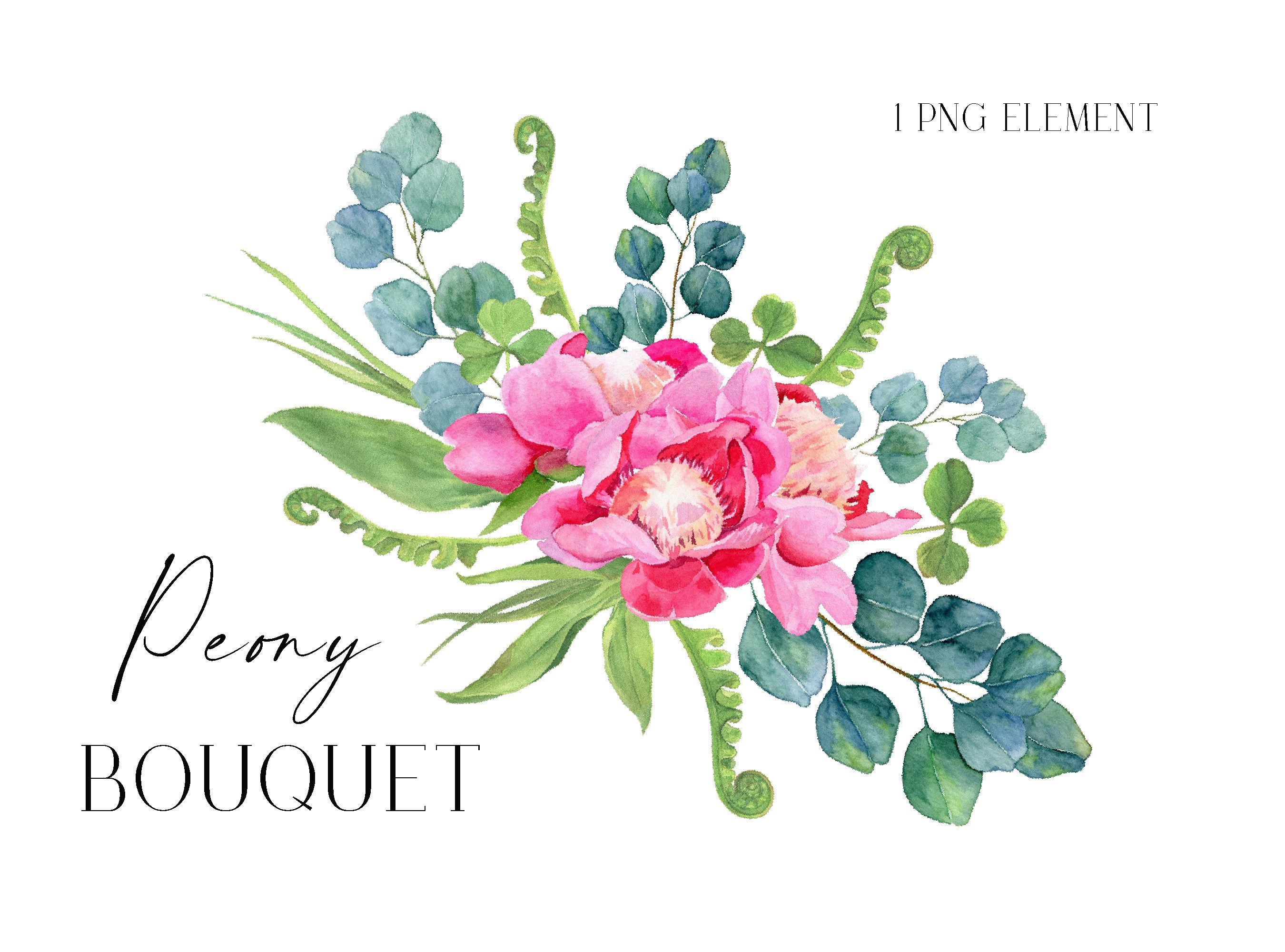 Watercolor Spring Flowers Clipart Pink Peonies Greenery Branches ...