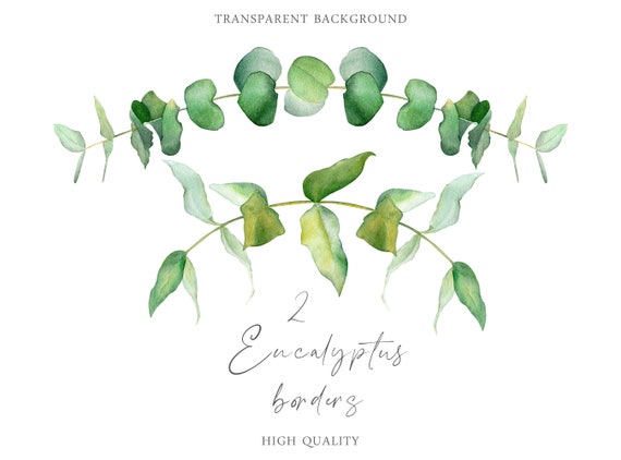 Eucalyptus Watercolor Border Greenery Branch Arrangement Frame - Etsy