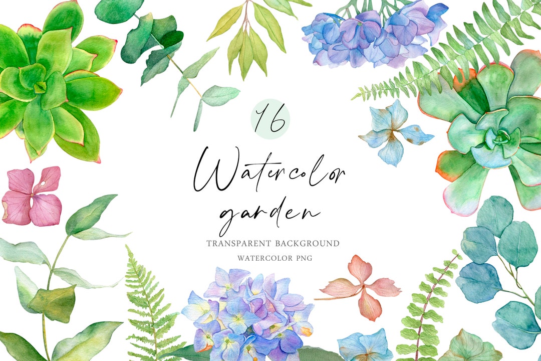 Watercolor Floral Clipart Succulent Fern Eucalyptus Hydrangea Greenery ...