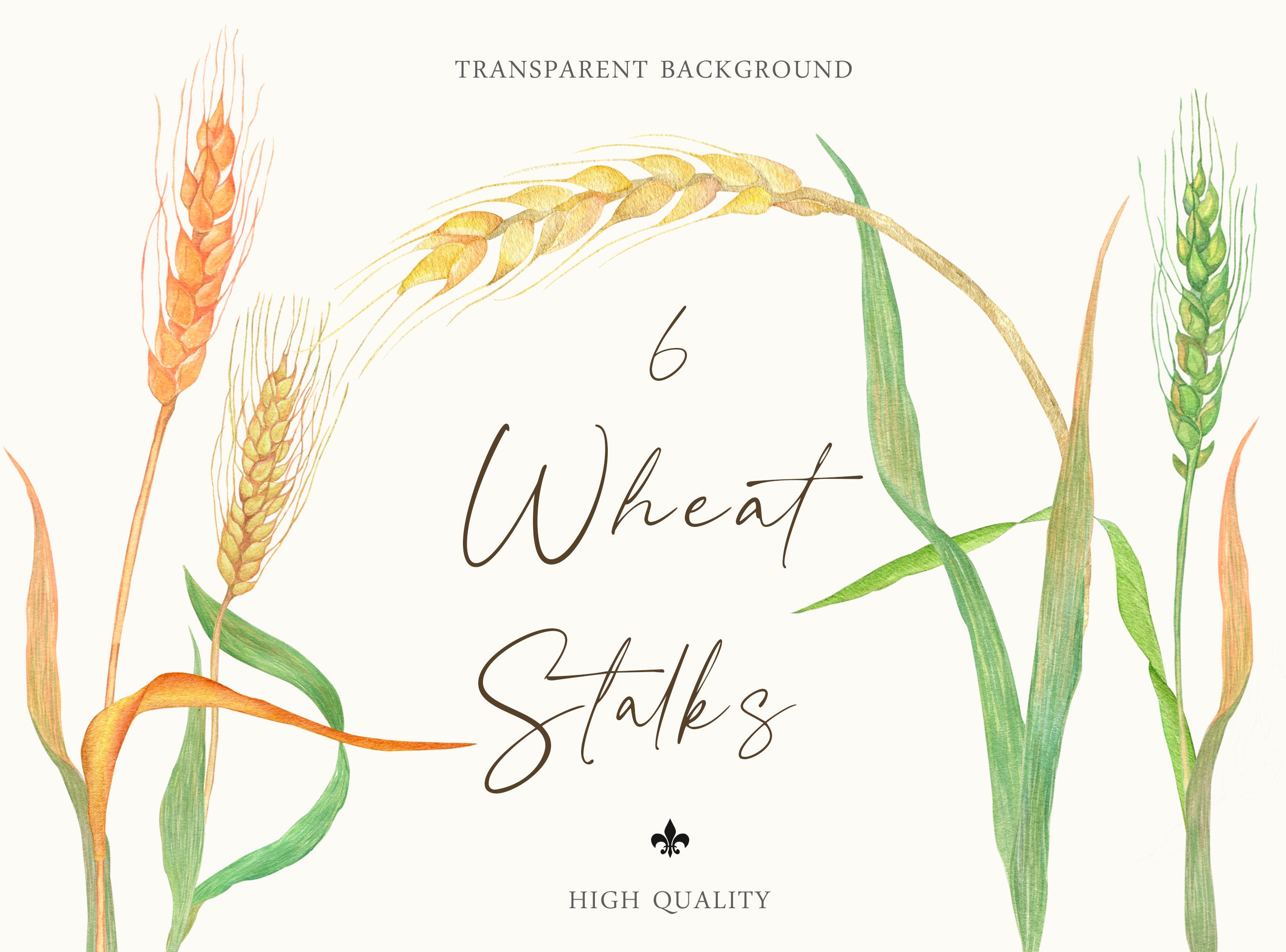 Watercolor Wheat Stalks Clipart Bakery Farm Logo Grains Set DIY Crafts ...