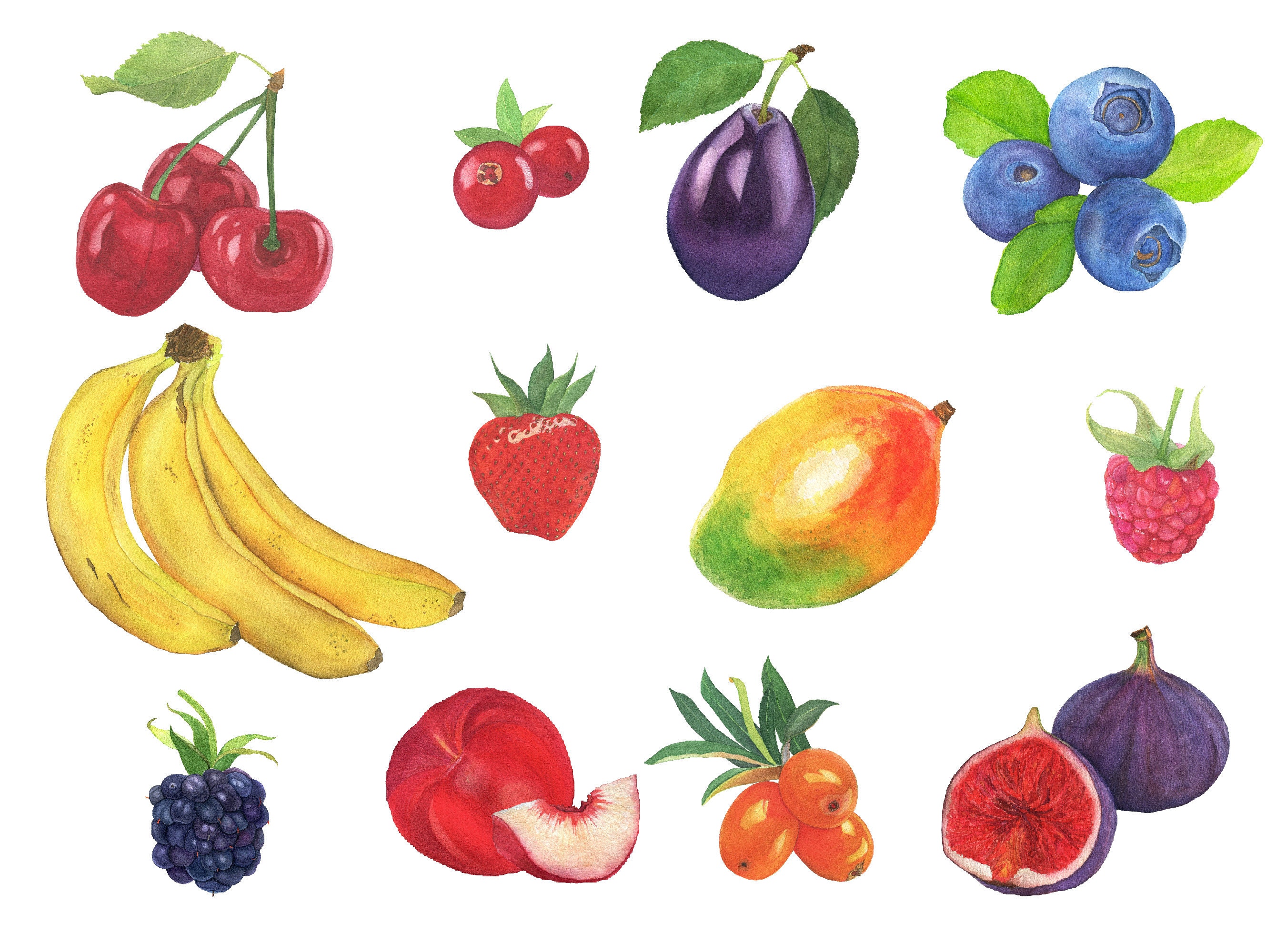 Watercolor Fresh Fruits Red Blue Berries Food Clipart Organic Vegan Eco ...