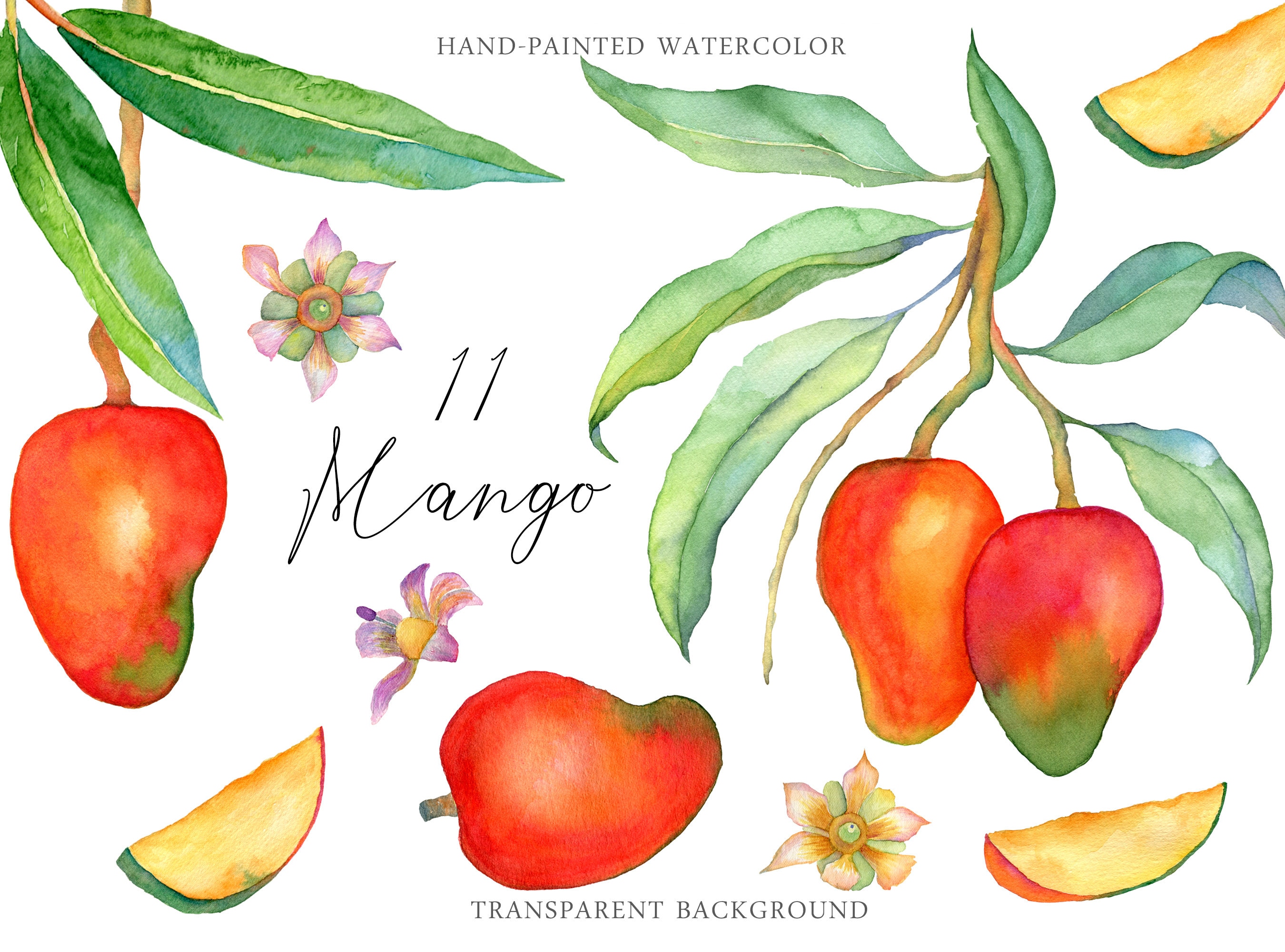 Watercolor Mango Tree Flower Clipart Tropical Healthy Fruit Exotic ...