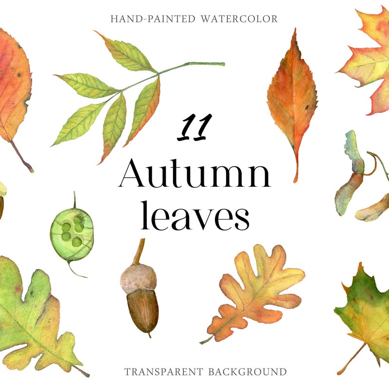 WatercolorAnn - Etsy