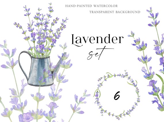 Watercolor Lavender Clipart Png Provence Rustic Wedding | Etsy