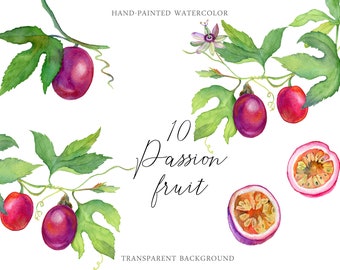 Watercolor Passion Fruit Flower Clipart: Botanical PNG Set (digital ...