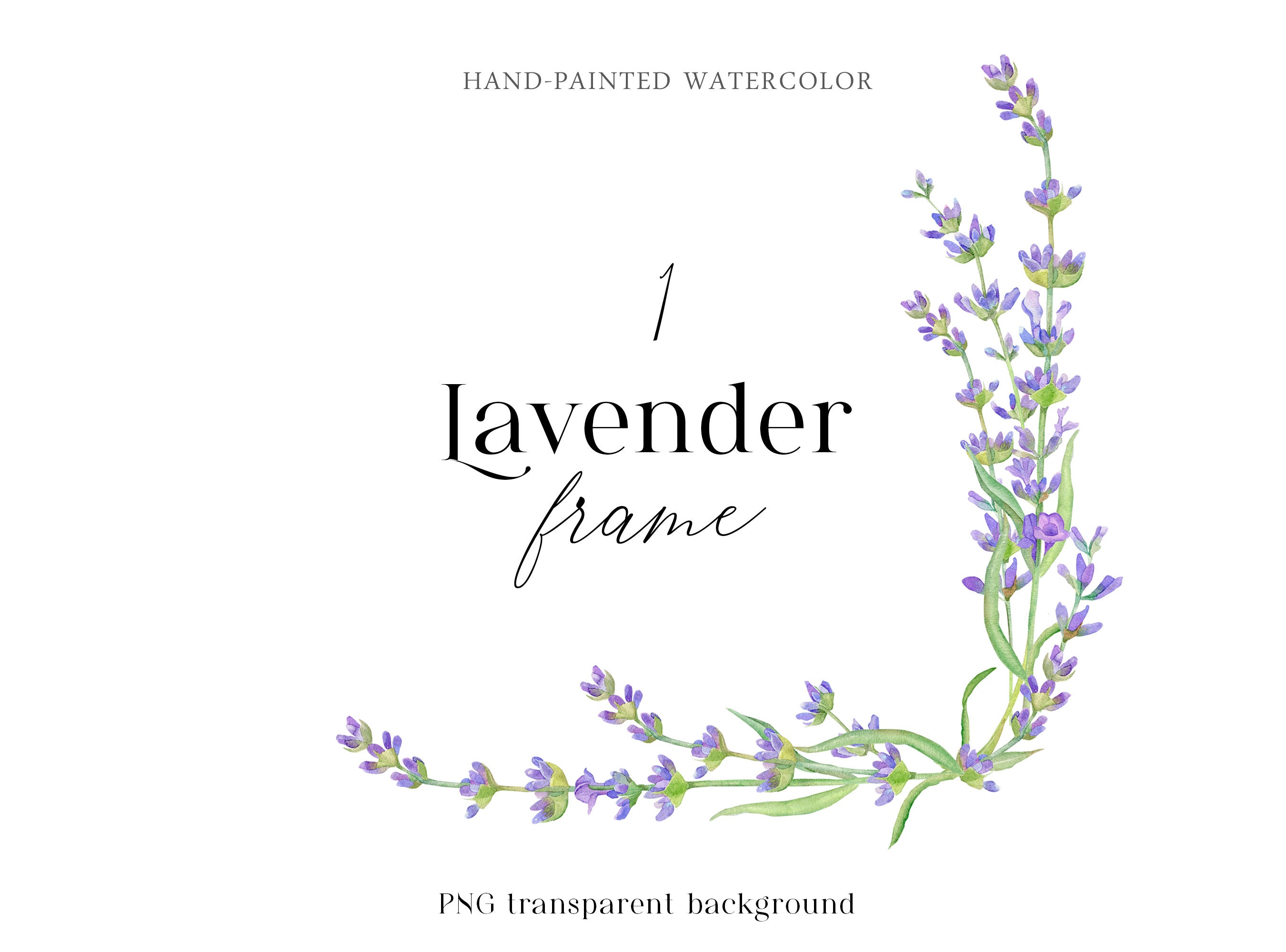 Watercolor Lavender Floral Frame Corner Greeting Card Wedding ...