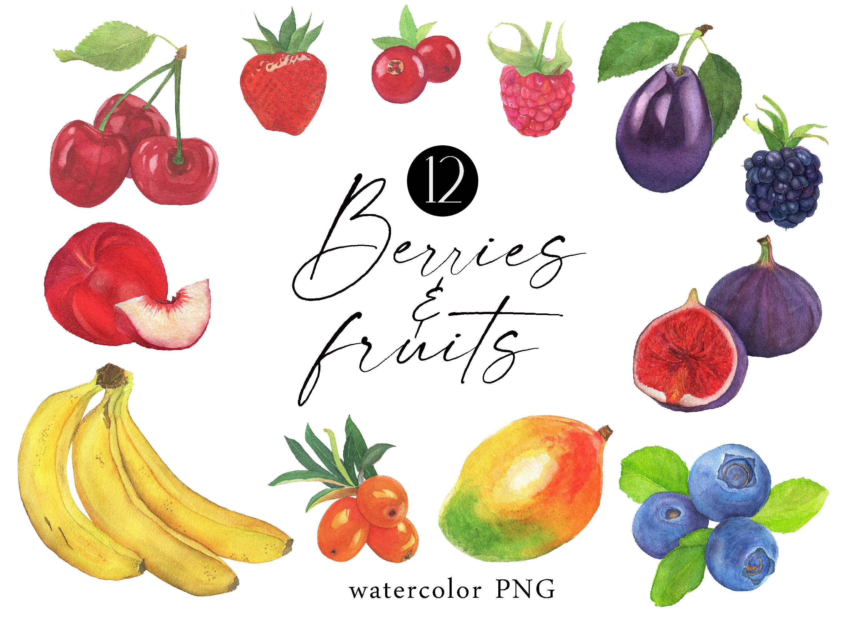 Watercolor Fresh Fruits Red Blue Berries Food Clipart Organic Vegan Eco ...