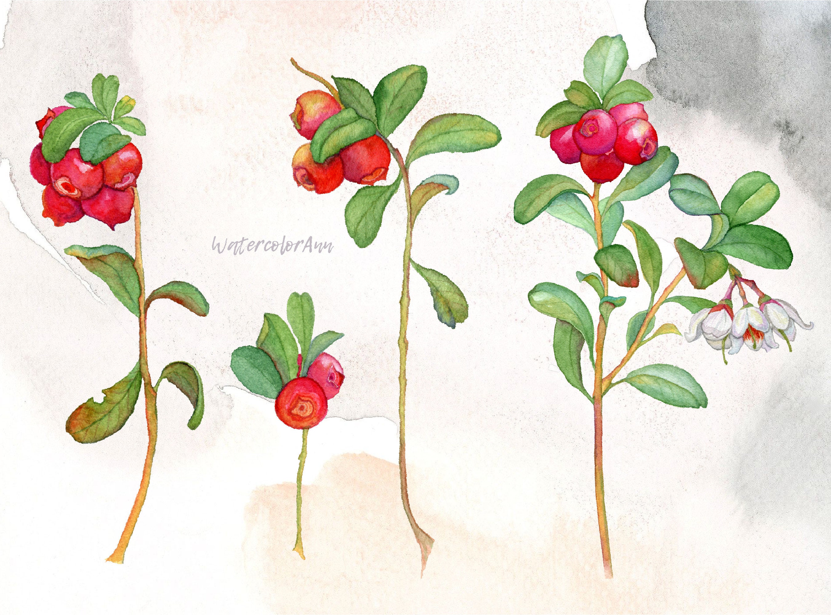 Digital Prints Art & Collectibles Download Pattern Watercolor ...